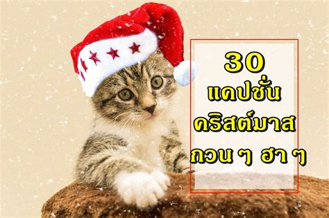 30 แคปชั่นคริสต์มาส คำคมคริสต์มาส กวนๆ ฮาๆ คำอวยพรวันคริสต์มาส 2022 Bangkok Love Horo