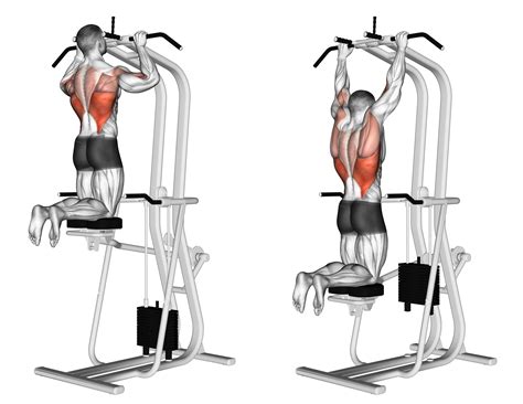 Assisted Pull Up Band And Machine Benefits Muscles Worked And More