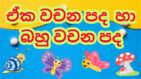 ඒක වචන පද හා බහු වචන පද Youtube
