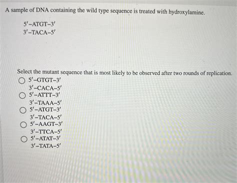 Solved A Sample Of Dna Containing The Wild Type Sequence