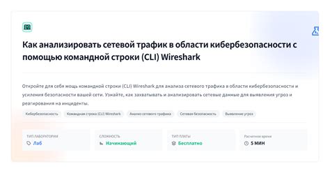 Как анализировать сетевой трафик в области кибербезопасности с помощью командной строки Cli