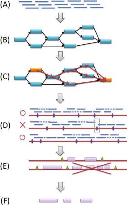 A Diagram Of The Constrained Assembly Approach A Paired End And