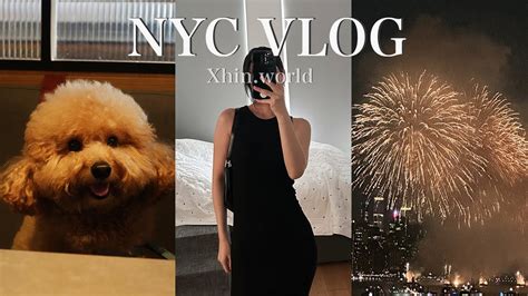 뉴욕 브이로그 뉴욕에서 제일 큰 불꽃축제 인테리어 예쁜 도서관 미국 운전면허증 따기 훠거 뉴욕 산책 Youtube