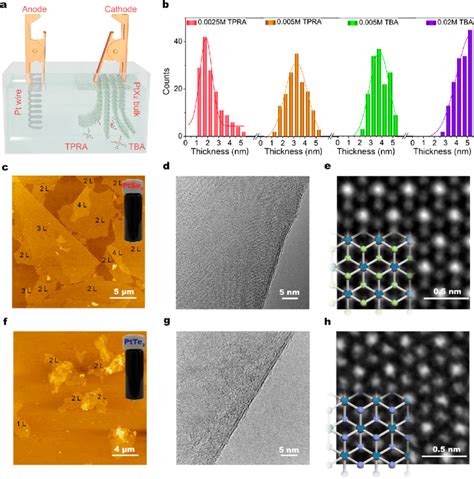 Characterization Of The Electrochemically Exfoliated Ptse 2 Ptte 2