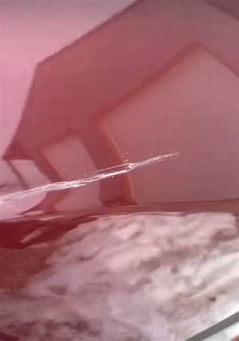 스크래치 붓펜 작업 ‹ 유머와 Nsfw ‹ 야돌이닷컴