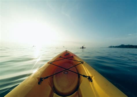Free Images Work Water Nature Outdoor Ocean Sport Boat Row