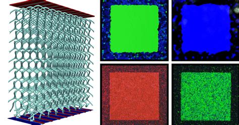 Creating Blue Phase Crystals For Future Technologies Pritzker School