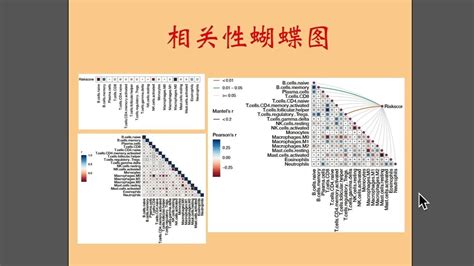 【想学必看】相关性蝴蝶图（mantel分析） 免疫 免费的午餐啊 免费的午餐啊 哔哩哔哩视频