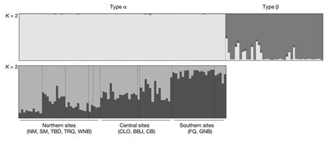 Bar Plots From The Bayesian Clustering Analysis In Structure Testing