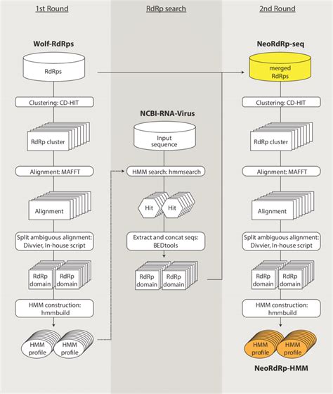 A Schematic Workflow Of Neordrp Hmm Construction 1st Round Left