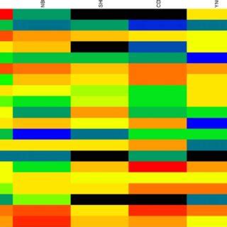 Heat Map Of The Expression Levels Of The Female Specific Genes In The Download Scientific