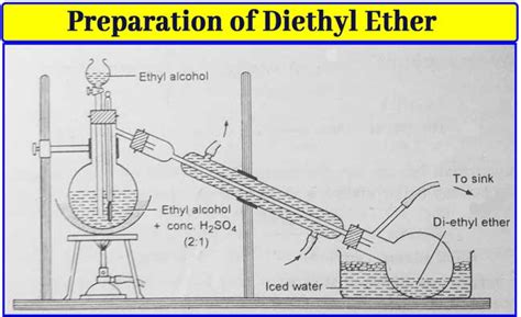 Dipentyl Ether Novel Fungal Diphenyl Ether Biosynthetic Gene Clusters