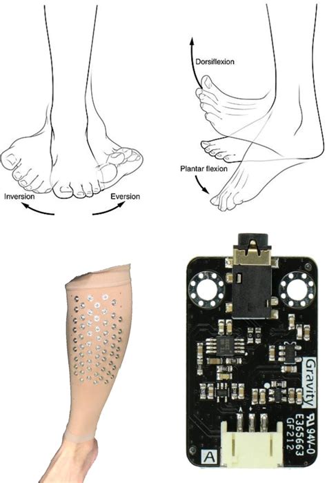 Figure 1 From Ankle Intention Detection Algorithm With Hd Emg Sensor