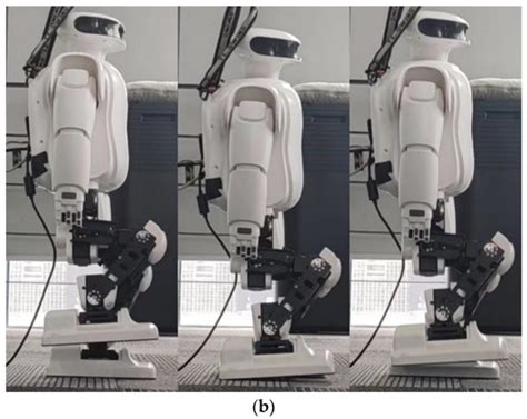 A Spring Compensation Method For A Low Cost Biped Robot Based On Whole Body Control