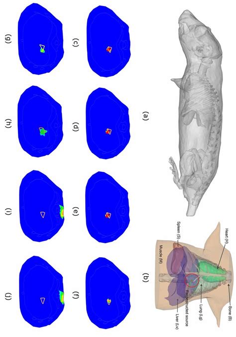 The Comparison Of Tomographic Results Between Ggc And Gradient Type
