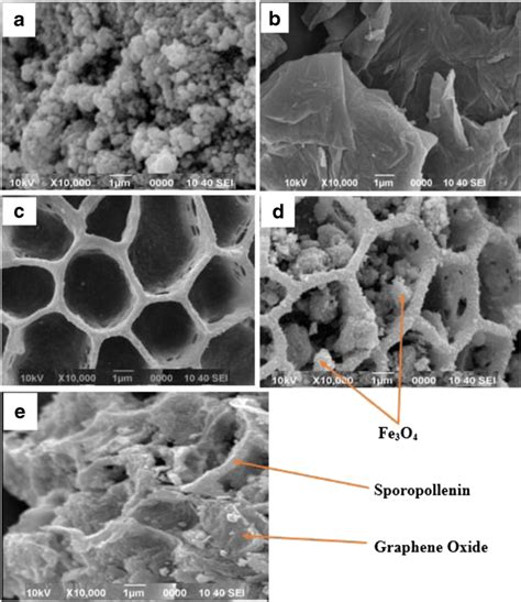 SEM Image Of A Fe O B GO C SP D Fe O SP And E Fe O SP GO Download Scientific
