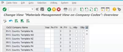 SAP How To Solve Error The Company Code Does Not Exist Or Has Not Been Fully Maintained