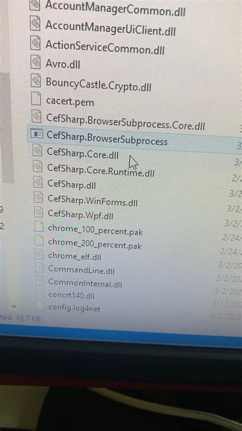Had No Clue What Cefsharp Was And Why It Was Open So Many Times On My Task Manager When I Looked
