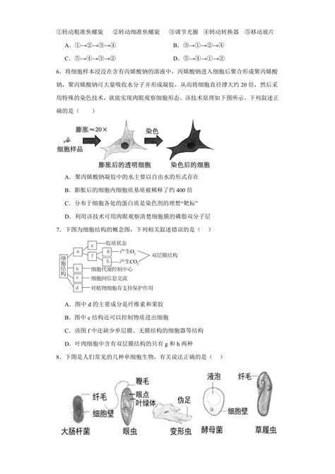 第二章 细胞的结构（单元测试） 2023 2024学年高一生物同步课堂（浙科版2019必修1）（含答案） 21世纪教育网