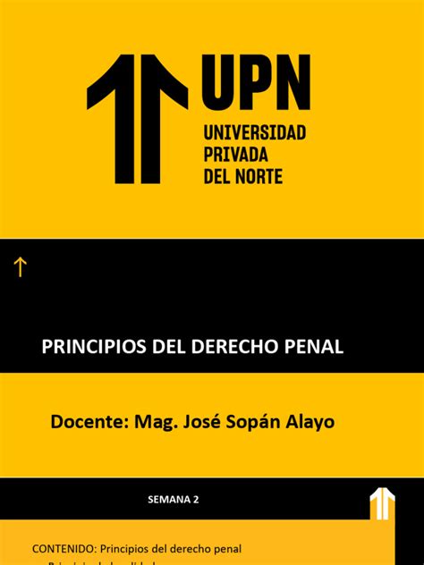 Ppt Principios Del Derecho Penal Pdf Derecho Penal Castigos