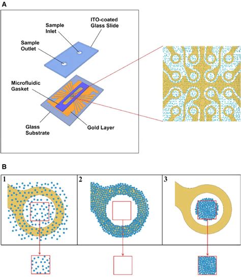 Schematic Diagram Of Both The Dielectrophoresis Device Used For Download Scientific Diagram