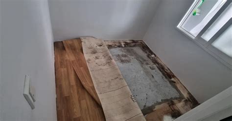 잘 작업해주시고 만족스러웠습니다 바닥 곰팡이 원인도 파악해주시고 냄새도 하나도 안나네요 더운데 고생많으셨습니다 숨고 숨은고수