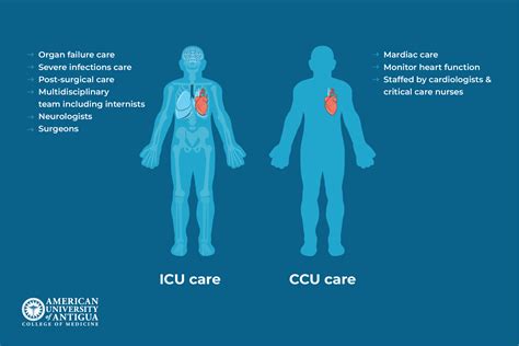 Is Ccu Different From Icu Find Out The Key Differences American University Of Antigua