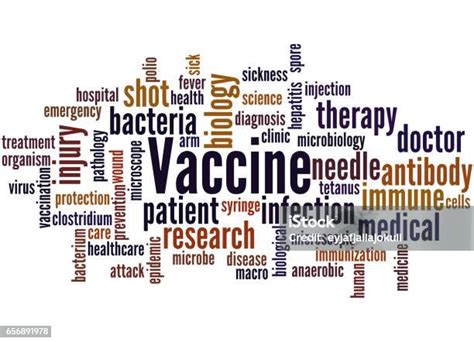 백신 워드 클라우드 개념 3 건강관리와 의술에 대한 스톡 벡터 아트 및 기타 이미지 건강관리와 의술 과학 미생물학 Istock