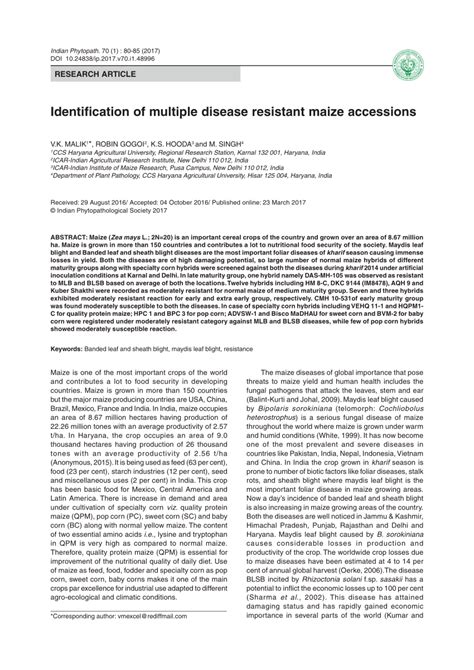 Pdf Identification Of Multiple Disease Resistant Maize Accessions