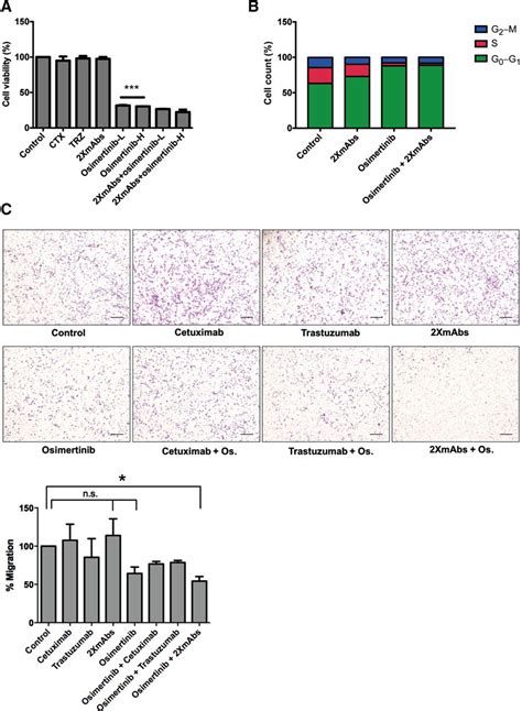 Osimertinib Treatment Decreases Cell Viability And When Combined With Download Scientific