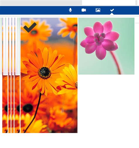 Masonry Isotope Packery Images Overlapping In Safari · Issue 671 · Metafizzyinfinite Scroll