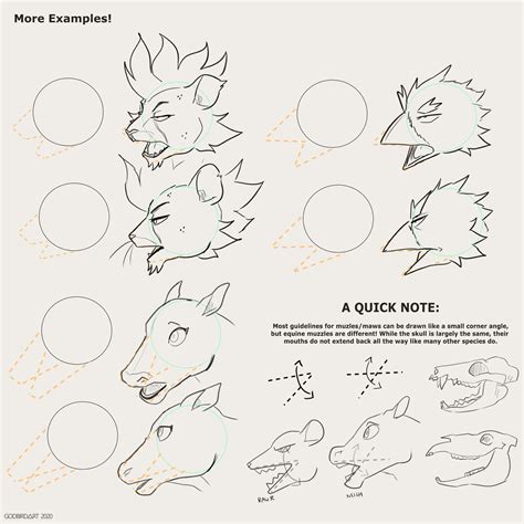 A Couple People Have Asked About Muzzles And How I Draw Them So I