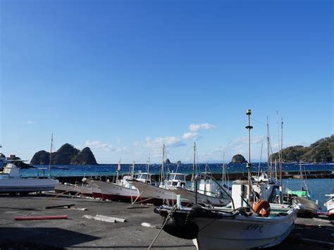 西伊豆トレイル 2022 12 ② ふみの山散歩