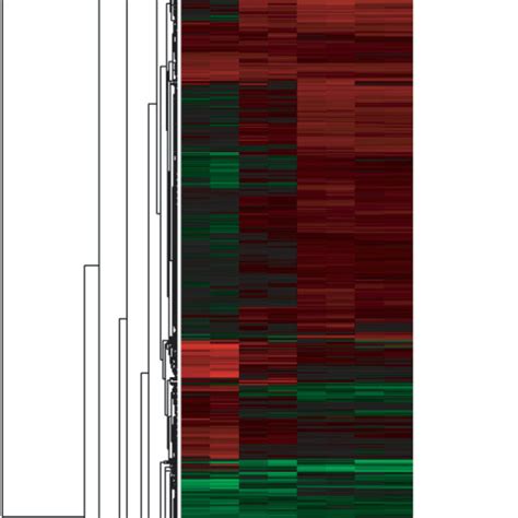 Average Linkage Hierarchical Clustering Analysis Of The Log2