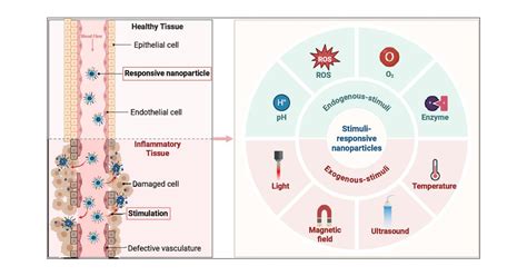 Stimuli Responsive Nanomedicines For The Treatment Of Non Cancer