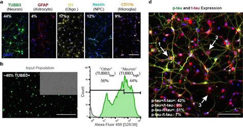Cellular Heterogeneity And Biomarker Discovery Darling Lab