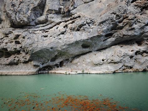 Vector Quantisation In Wave2vec 20 By Ezekiel Zhao Medium