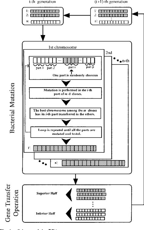 Figure 1 From Fuzzy System Parameters Discovery By Bacterial