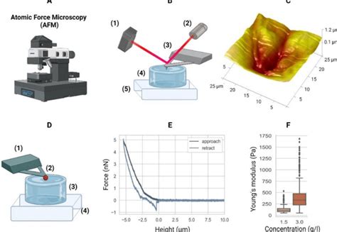 Sample Holder Atomic Force Microscopy At Alannah Thwaites Blog