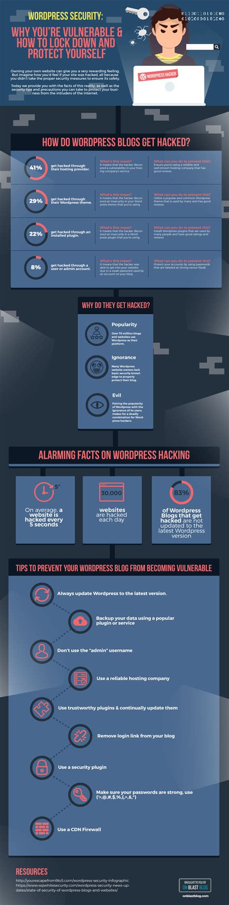 WordPress Security The Beginners Guide Infographic Blue Steele Solutions