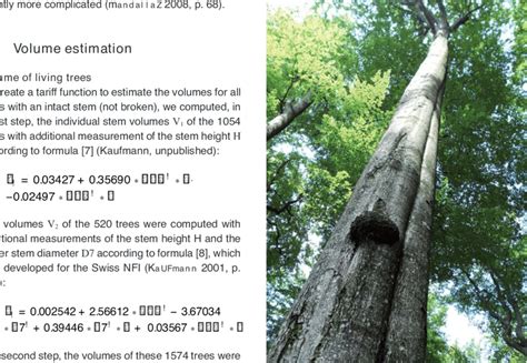 2 The Volume Of A Tree Includes The Stem Volume From The Ground To The