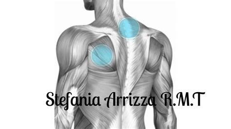 Stefania Arrizza Registered Massage Therapist Kirkland Qc