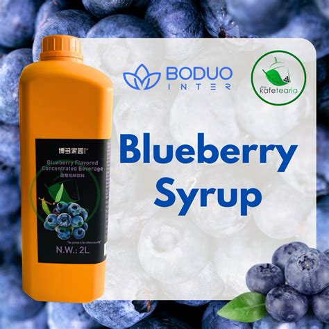 Boduo Flavored Syrup 2l Blueberry Strawberry Lemon Passion