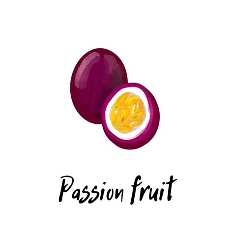 Illustration Of A Passion Fruit Isolated On A White Background 11747270 Vector Art At Vecteezy