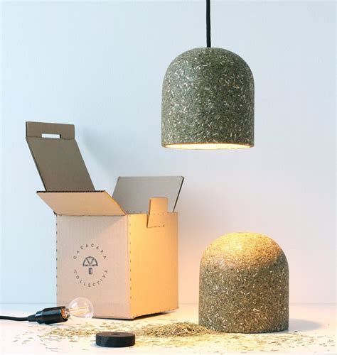 Sustainable Design Solutions With Sophia Major Founder Of Igolo Architecture Magazine