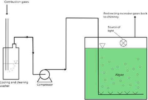 Figure 1 From The Use Of Algae As Carbon Dioxide Absorber In Heat Production Industry Semantic