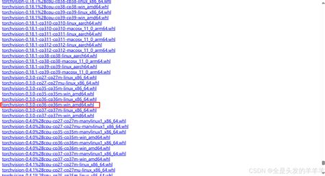 Cat Net复现保姆级教程（更新中 Csdn博客