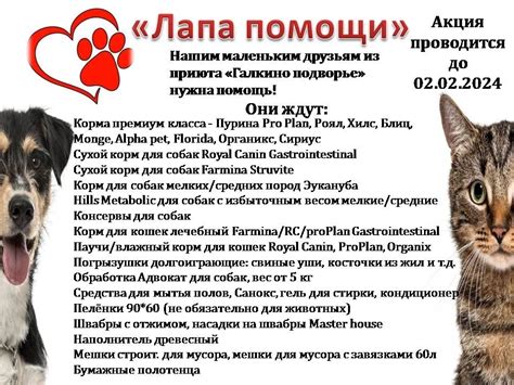 Приглашаем всех поучаствовать в нашей ежегодной благотворительной акции «Лапа помощи и помочь
