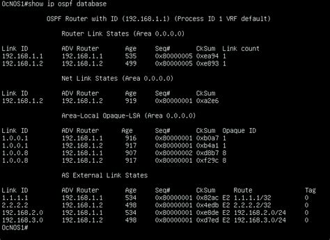 Router Ospf Interface At Greg Booth Blog