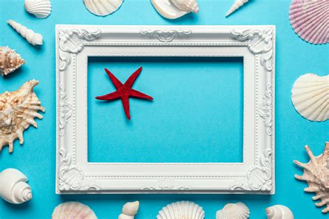 파란색 배경에 흰색 프레임과 창조적 인 조개 껍질 구성 여름 최소 개념입니다 개념에 대한 스톡 사진 및 기타 이미지 개념